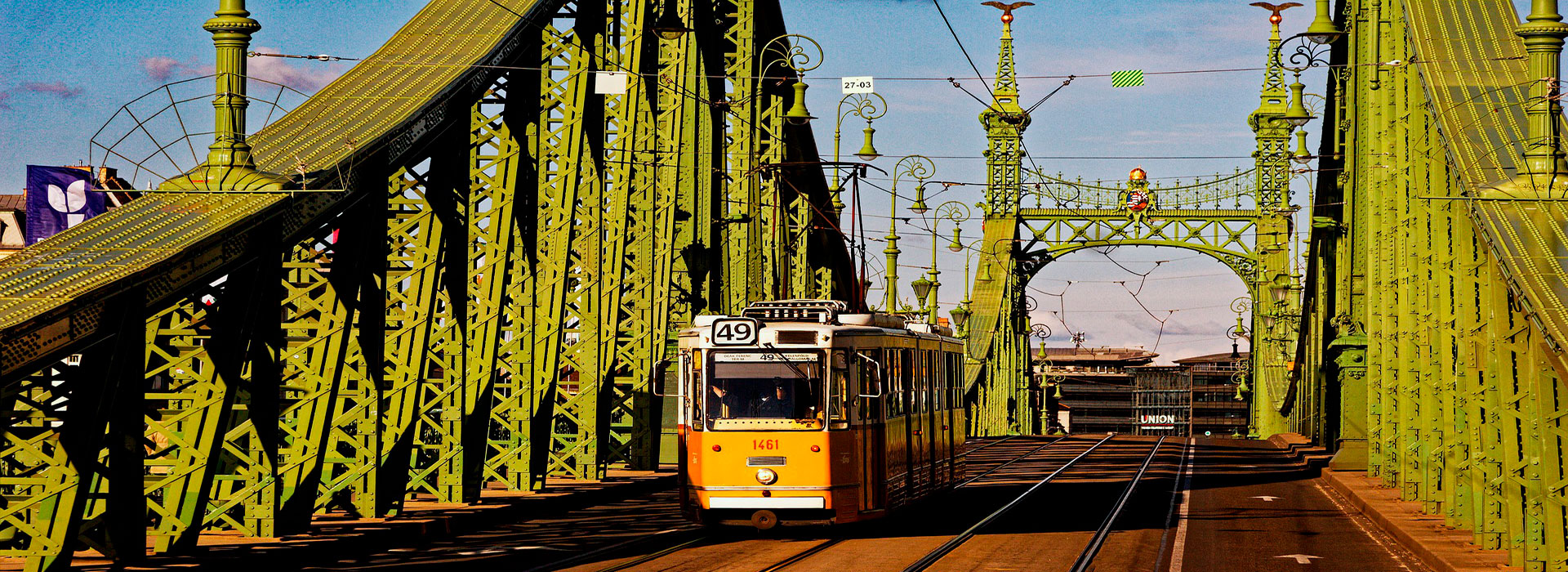 Liberty Bridge, linking Buda and Pest over the Danube River